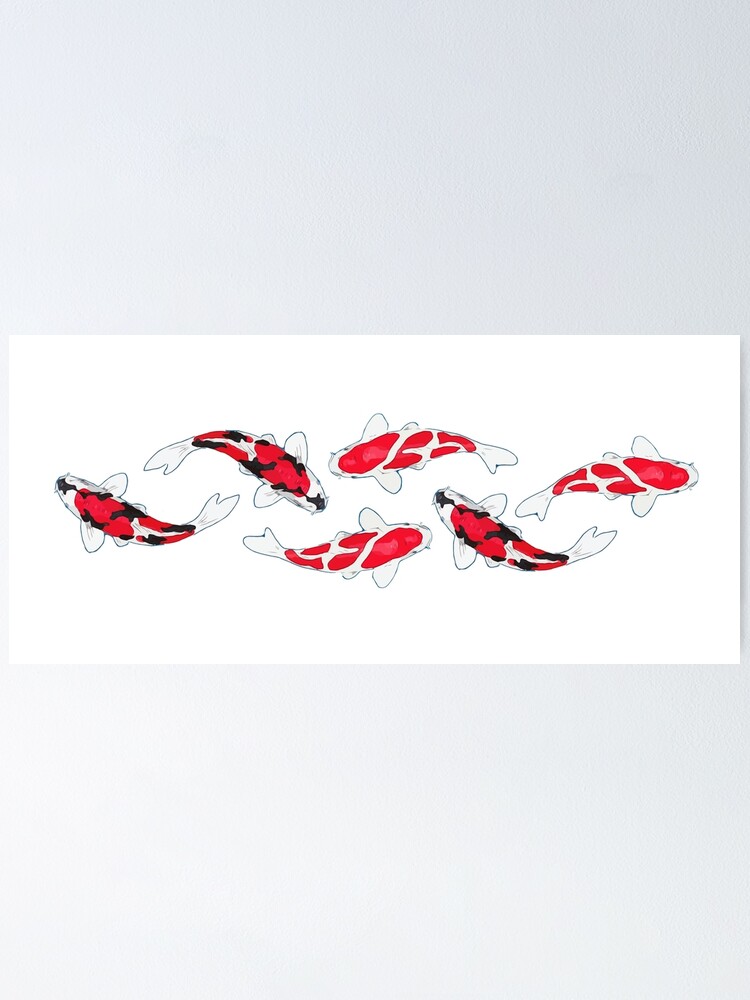 "Koi Fish | Kuhaku Showa Sanke | Blimp Shape Design" Poster by ...