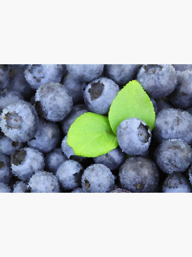"Perfect Plump Blueberries" Sticker for Sale by MathenaArt | Redbubble