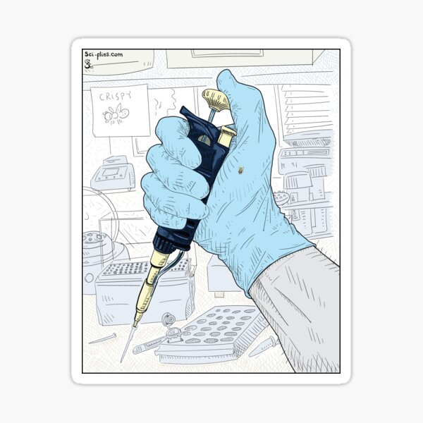 "CRISPR flies" Sticker for Sale by sciflies | Redbubble