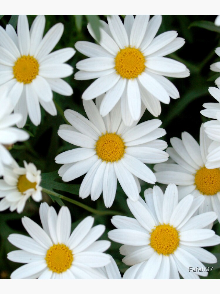 "Cosmo Flowers" Sticker for Sale by Fafah97 | Redbubble