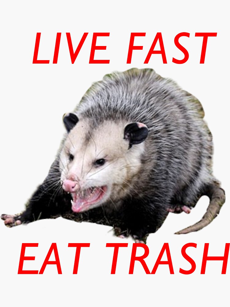 "Live Fast! Eat Trash! Possum" Sticker for Sale by royalblewitup ...