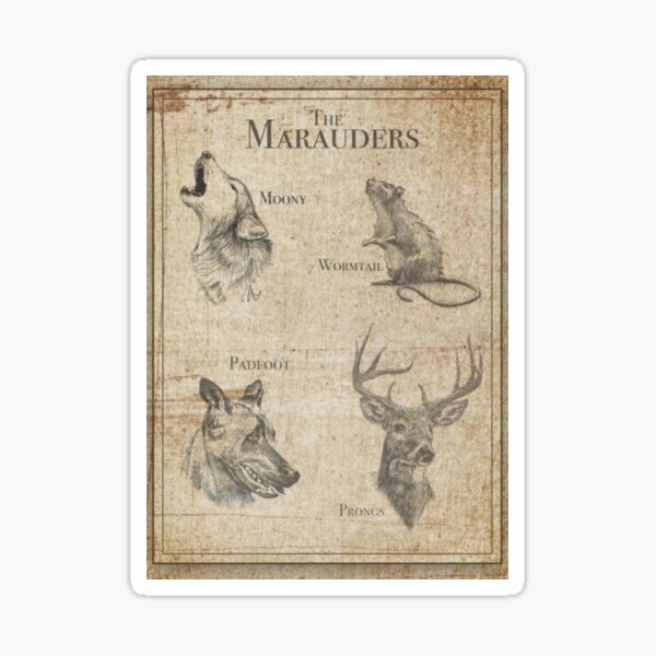 "The Marauders" Sticker for Sale by glossyheaven | Redbubble