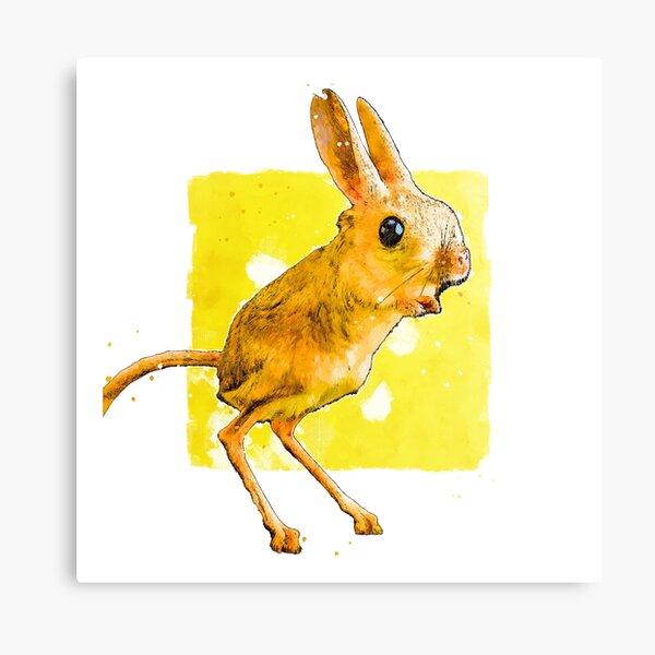 Pet Portraits 2 Fine Art Matte Color Prints of Animal Creature Original ...