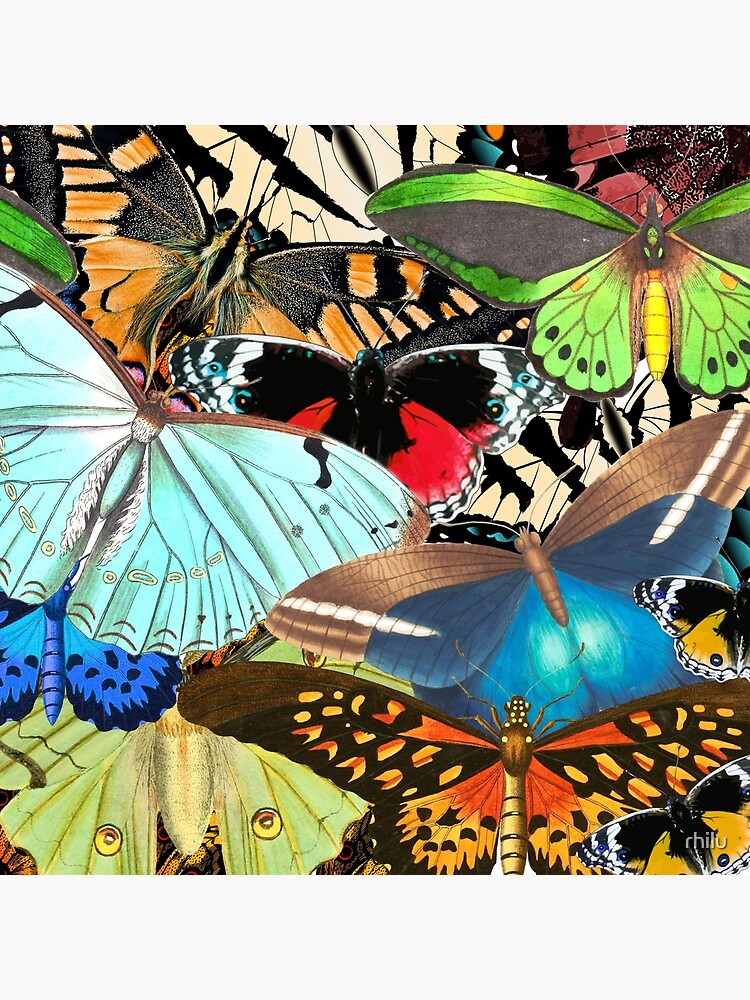 "Butterfly collage" Poster for Sale by yatzgarcia11 | Redbubble
