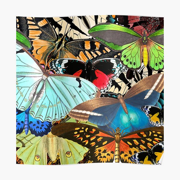 "Butterfly collage" Poster for Sale by yatzgarcia11 | Redbubble