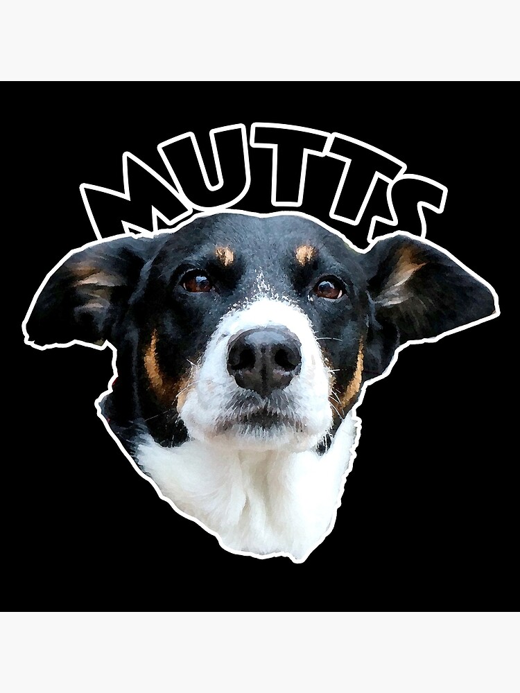 "We Love Mutts - Half Breed Dogs are My Best Friends - Border Collie ...