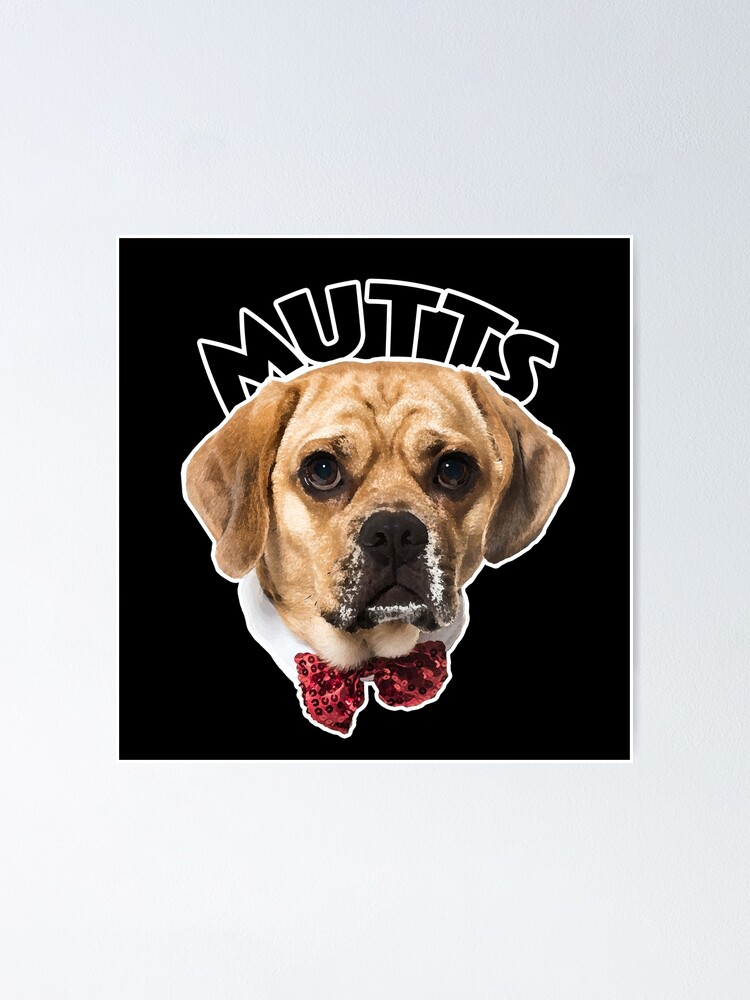 "We Love Mutts - Half Breed Dogs are My Best Friends - Bull Dog Pug ...