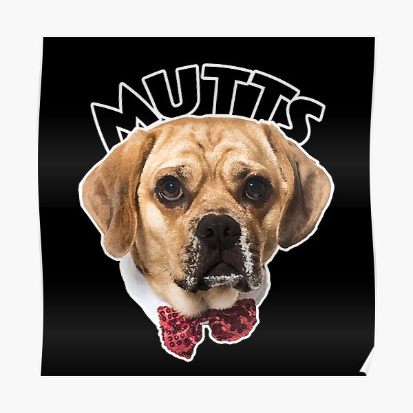 "We Love Mutts - Half Breed Dogs are My Best Friends - Bull Dog Pug ...