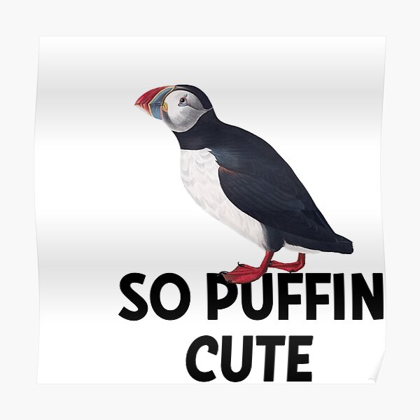 "So Puffin Cute, Arctic Animals, Puffin Bird" Poster for Sale by ...