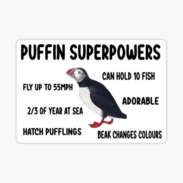 "Puffin Superpowers, Arctic Animals, Puffin Bird" Sticker for Sale by ...