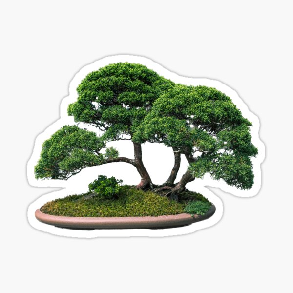 "Bonsai Tree" Sticker for Sale by Click-Like | Redbubble