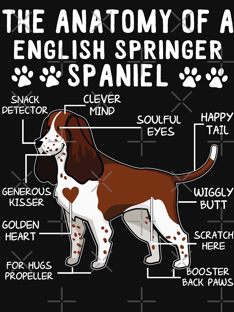 "The Anatomy Of A English Springer Spaniel Dog" T-shirt for Sale by ...