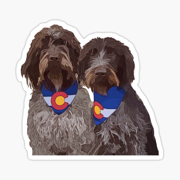 "GRIFF DUO 2021" Sticker for Sale by boesarts | Redbubble