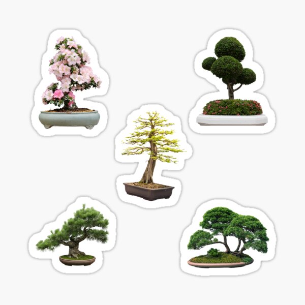 "Bonsai Multipack Sticker pack" Sticker for Sale by Click-Like | Redbubble