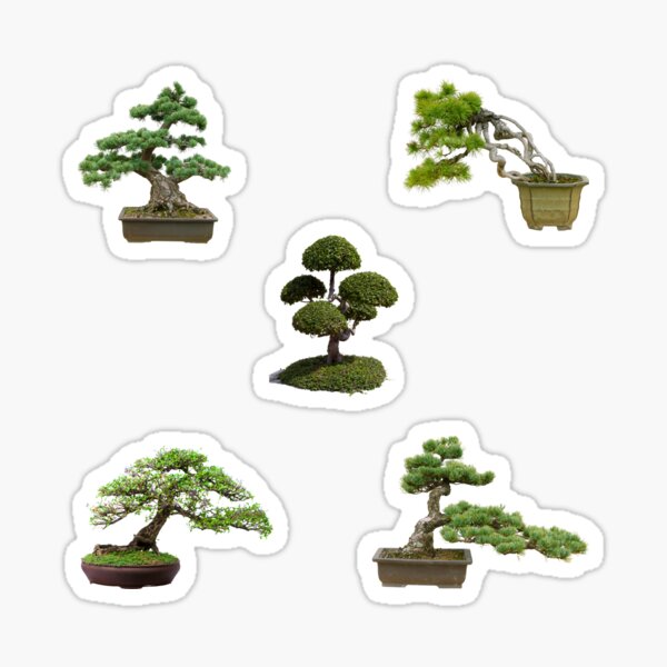 "Bonsai Multipack Sticker pack" Sticker for Sale by Click-Like | Redbubble