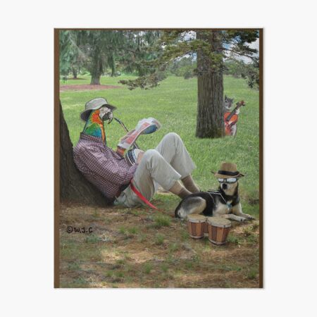 "Bongo Dog Wag" Art Board Print by stanzan | Redbubble