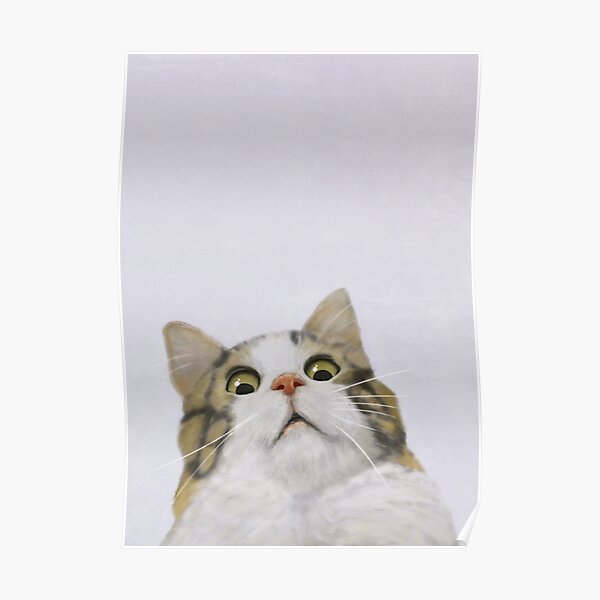 "Scared Cat Meme" Poster by Mashz | Redbubble