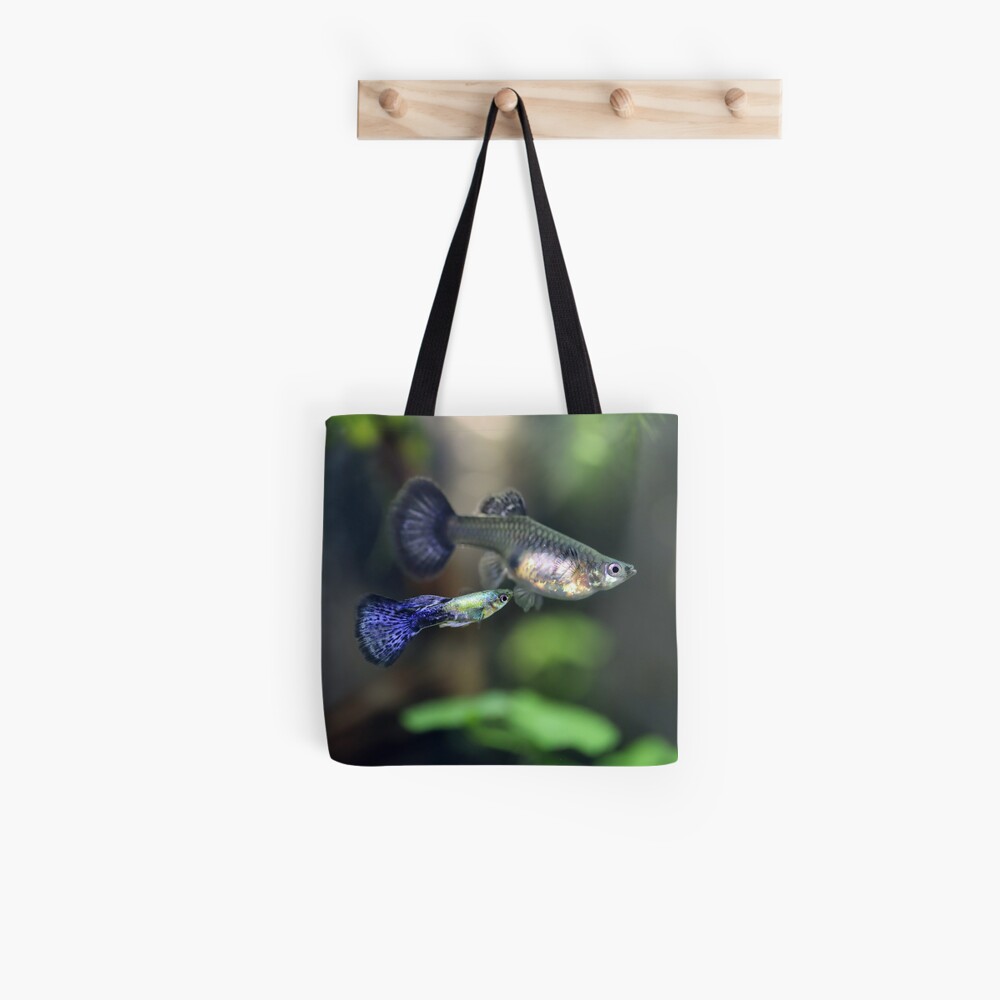 "Fancy Guppy Pair" Sticker for Sale by CassTiensivu | Redbubble
