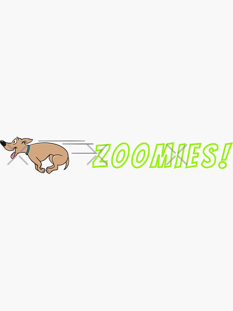"Zoomies!" Sticker for Sale by kookycomet | Redbubble
