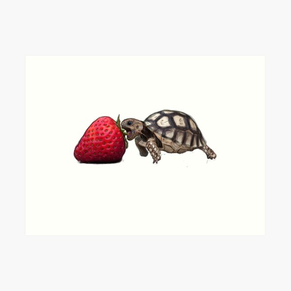 "Turtle Eating Strawberry" Art Print for Sale by Gibbo666 | Redbubble