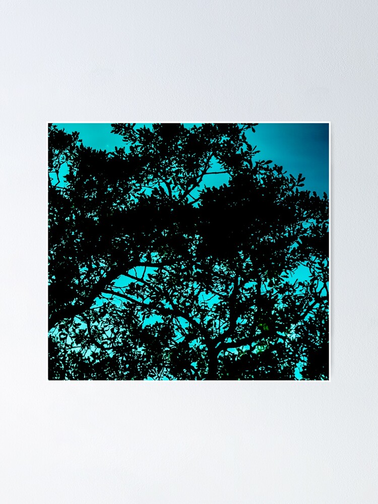 "Teal Tree Silhouette - BKLDesigns" Poster for Sale by BKLDesigns ...