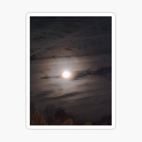 "Moonlight Photo" Sticker for Sale by Dbryant152 | Redbubble