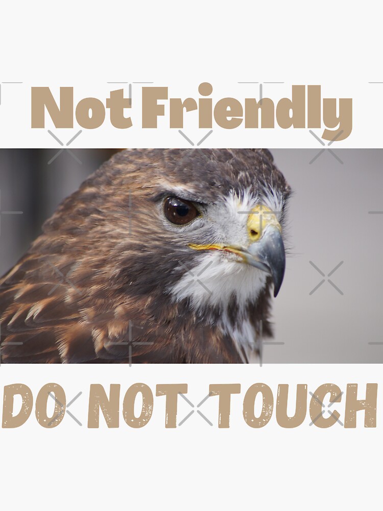 "Not Friendly Do Not Touch , Look But Dont Touch " Sticker by ...