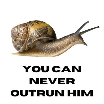 Snail Trail Memes Immortal Snail | Know Your Meme