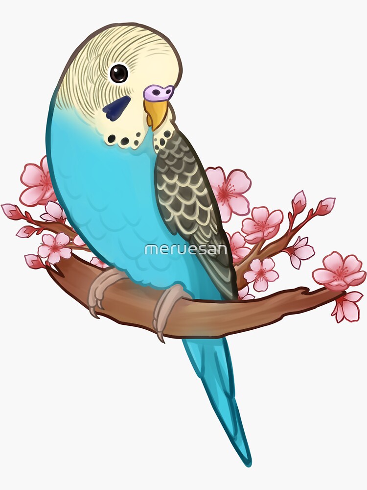 "Cute Budgie" Sticker for Sale by meruesan | Redbubble