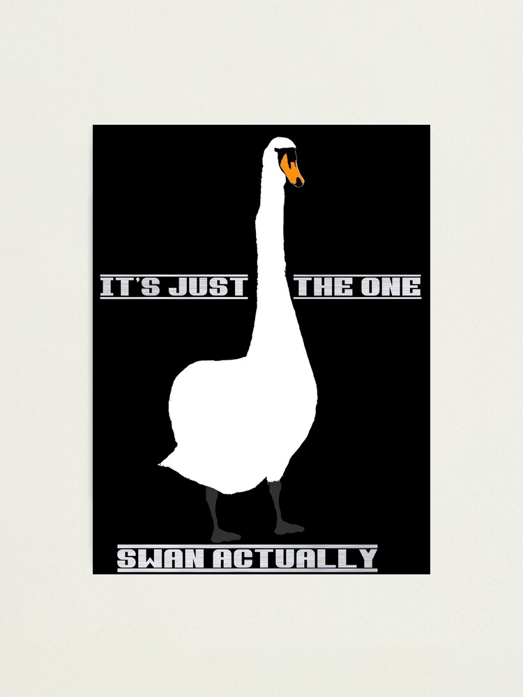 "It's just the one swan actually police meme" Photographic Print for ...