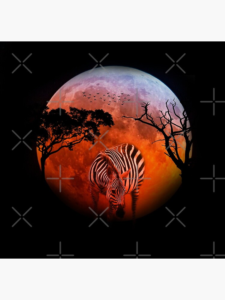 "ZEBRA MOON LIGHT AFRICA " Poster by johnnyssandart | Redbubble