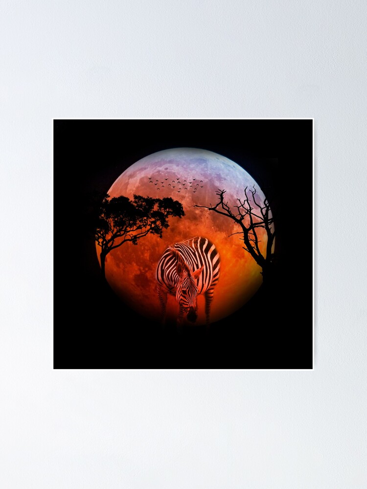 "ZEBRA MOON LIGHT AFRICA " Poster by johnnyssandart | Redbubble