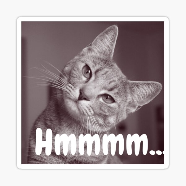"HMMMM CAT" Sticker for Sale by thebrownsofa | Redbubble