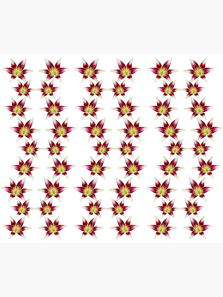 "My colorful original, realistic prints - lily flowers" Poster for Sale ...