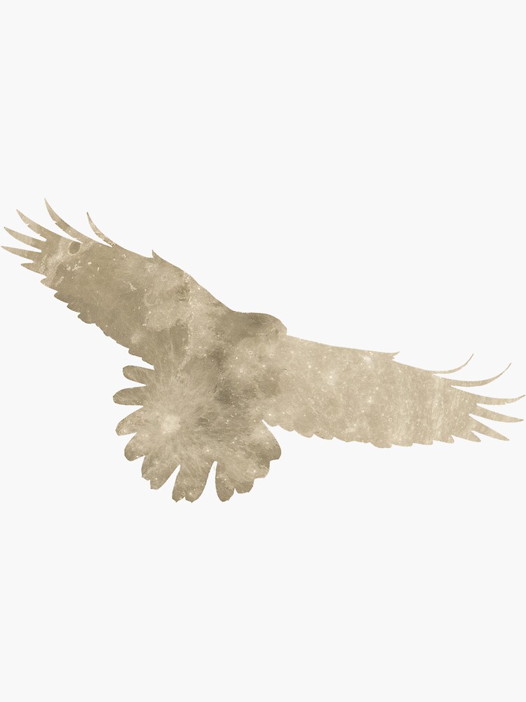"Moon raven " Sticker for Sale by KocurArt | Redbubble