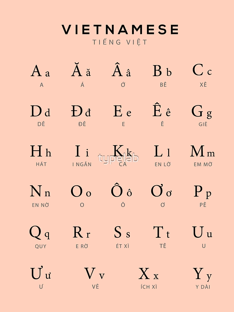 Vietnamese Alphabet Chart Basic Vocabulary & Listening Skills Program