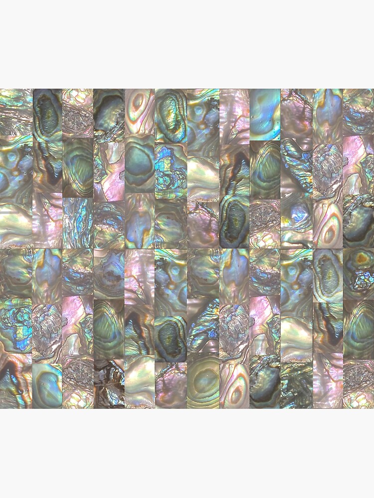 "abalone" Sticker by LisetteBaron | Redbubble