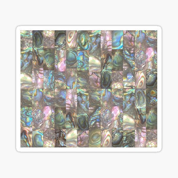 "abalone" Sticker for Sale by LisetteBaron | Redbubble