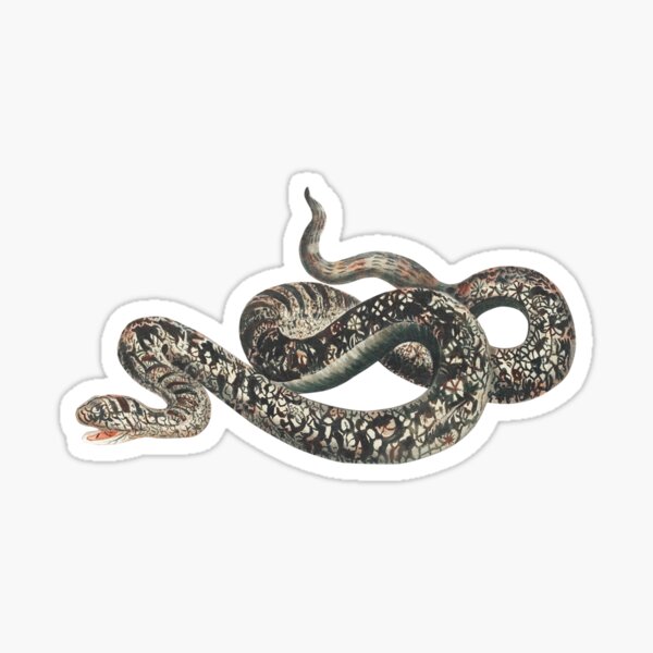 "snake" Sticker by clthaisericardo | Redbubble
