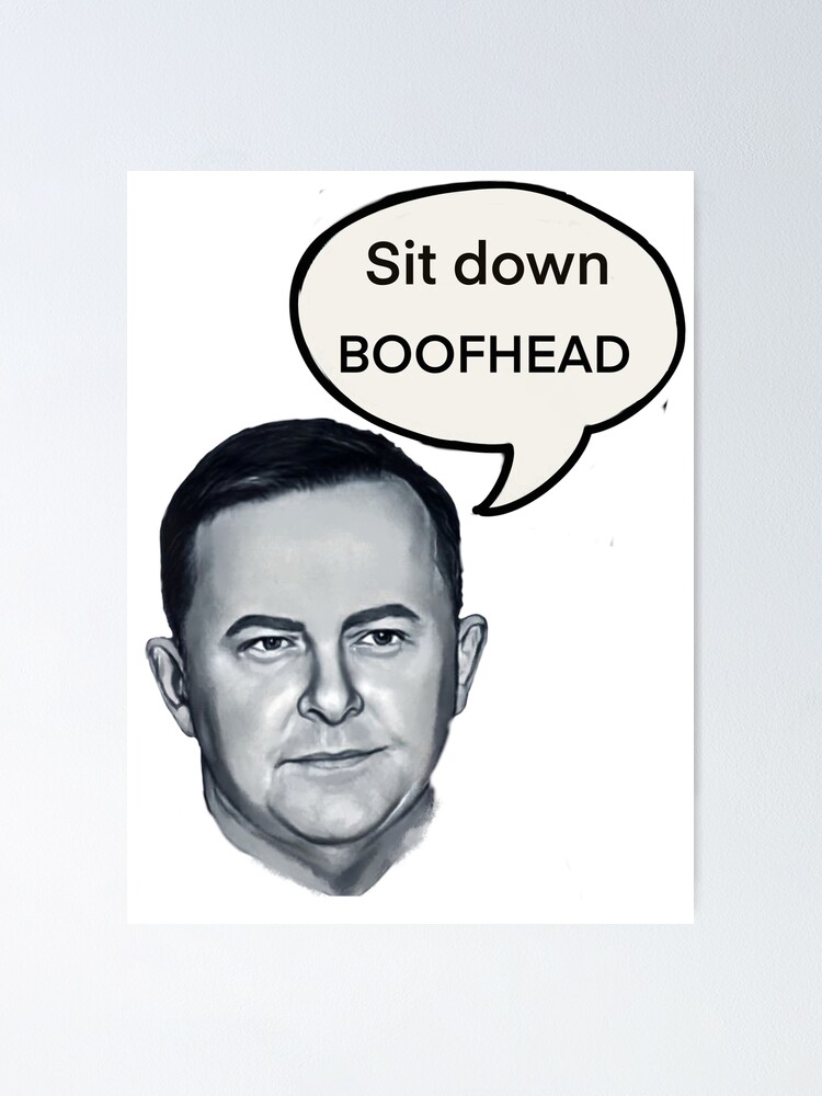"Sit down BOOFHEAD " Poster by Artistaffame | Redbubble