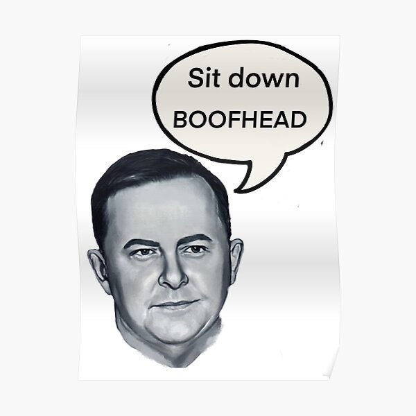"Sit down BOOFHEAD " Poster by Artistaffame | Redbubble
