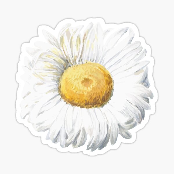 "White Sun Flower" Sticker by YunYan | Redbubble