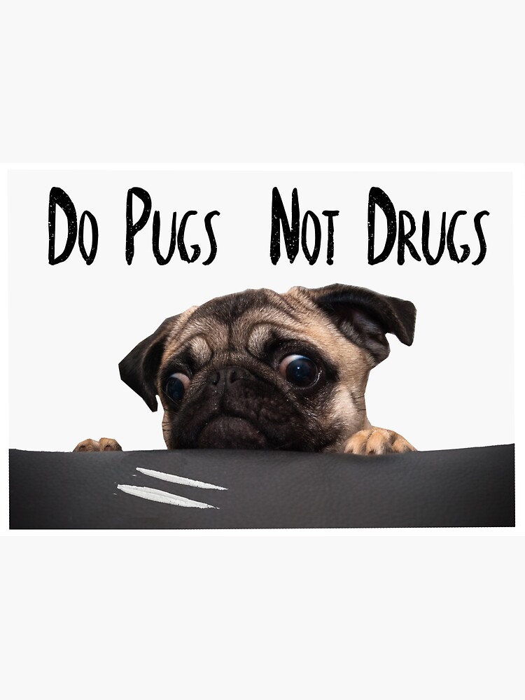 "Stylized Pugs not Drugs" Sticker for Sale by vonSiebenburgen | Redbubble