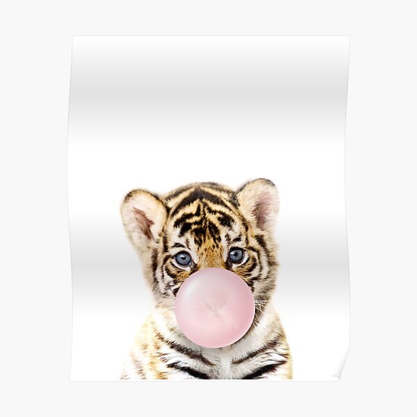 Póster «Baby Tiger Blowing Pink Bubble Gum, Baby Girl, Kids, Nursery ...