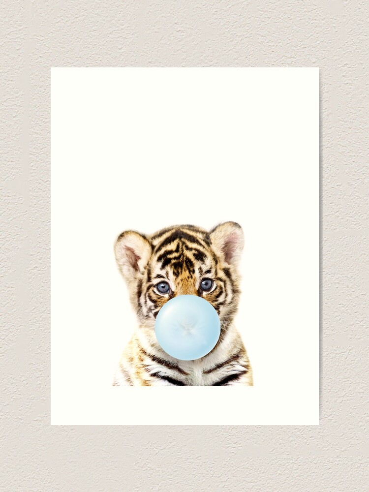 "Baby Tiger Blowing Blue Bubble Gum, Baby Boy, Nursery, Baby Animals ...