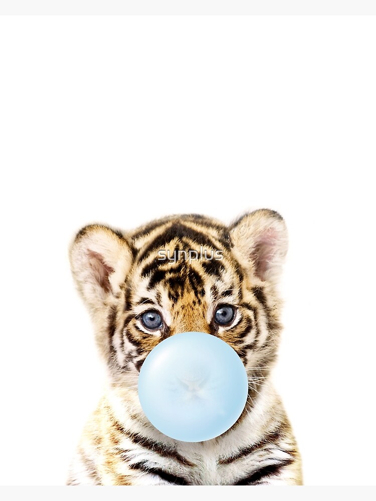 "Baby Tiger Blowing Blue Bubble Gum, Baby Boy, Nursery, Baby Animals ...