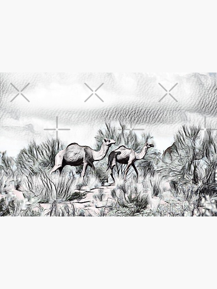 "Wild Camels in Canning Stock Route" Sticker for Sale by troopie662 ...