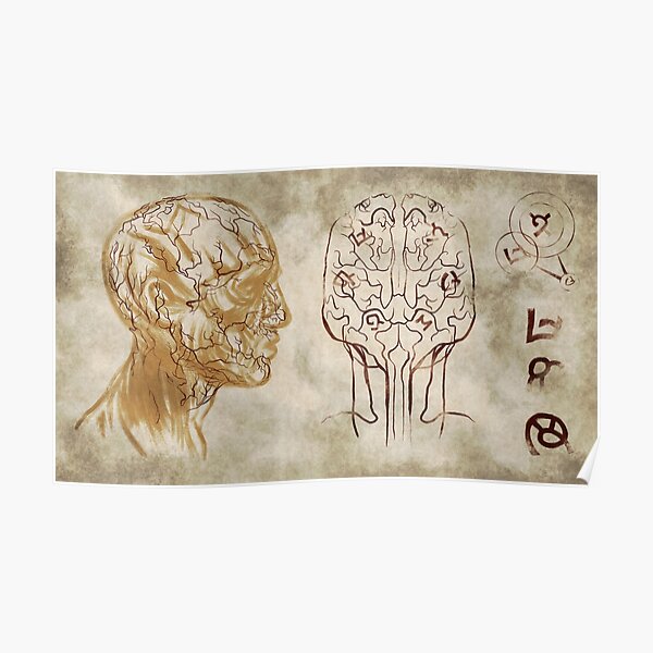 "Pathologic 2 Steppe Anatomy Diagram of the Brain" Poster for Sale by ...
