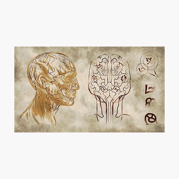 "Pathologic 2 Steppe Anatomy Diagram of the Brain" Photographic Print ...