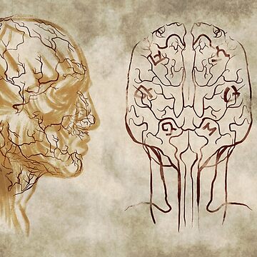 "Pathologic 2 Steppe Anatomy Diagram of the Brain" Sticker for Sale by ...